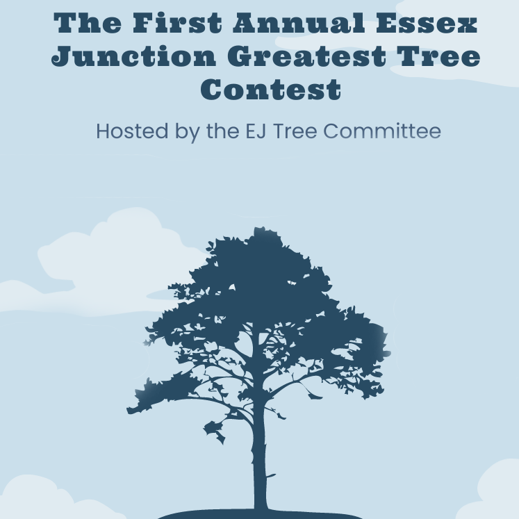 TAC "Greatest Tree Contest" - City of Essex Junction, Vermont