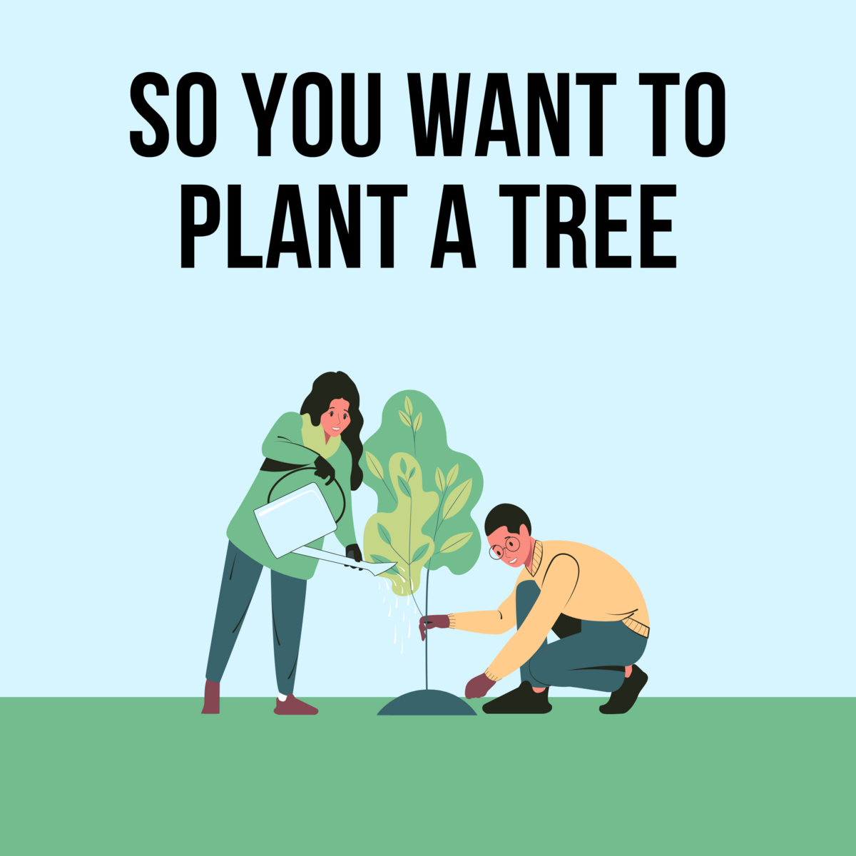 Tree Planting Resources from the TAC - City of Essex Junction, Vermont